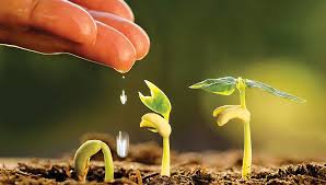 Home | Journal of Food Stability